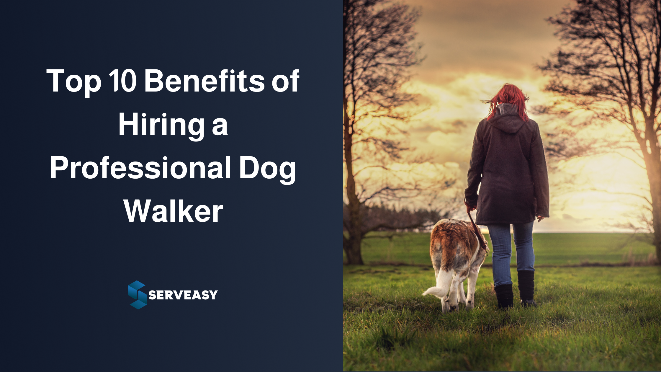 Top 10 Benefits of Hiring a Professional Dog Walker | Serveasy Blog